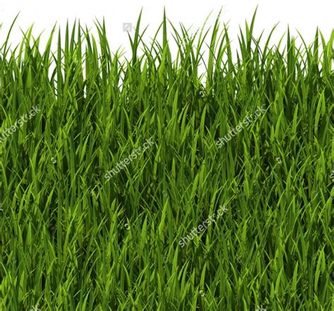 Grass Textures 30 Free  Png Psd Ai Vector Eps Format Download