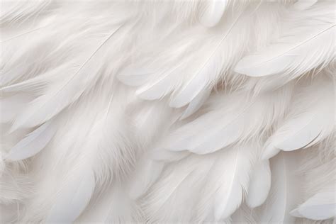 Feather Texture Graphic By Forhadx5 · Creative Fabrica
