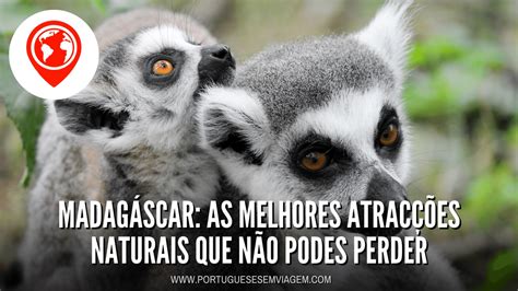 MADAGÁSCAR AS MELHORES ATRACÇÕES NATURAIS QUE NÃO PODES PERDER PORTUGUESES EM VIAGEM