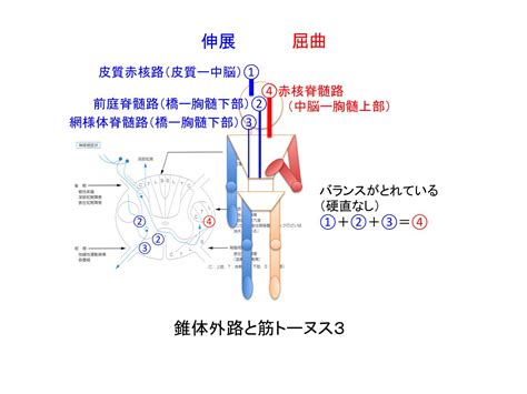 Images Of Japaneseclass Jp