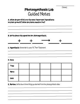 Photosynthesis Lab By The Agriscience Corner TPT