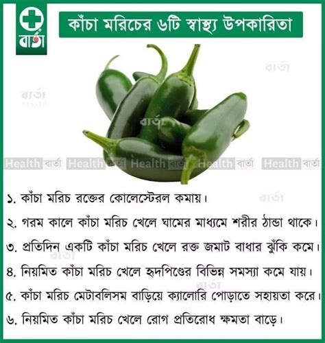 𝗔𝗺𝗮𝗱𝗲𝗿 𝗠𝗮𝘁𝗵𝗯𝗮𝗿𝗶𝗮 আমাদের মঠবাড়ীয়া কাঁচামরিচ সাধারনত আমরা খাদ্যের