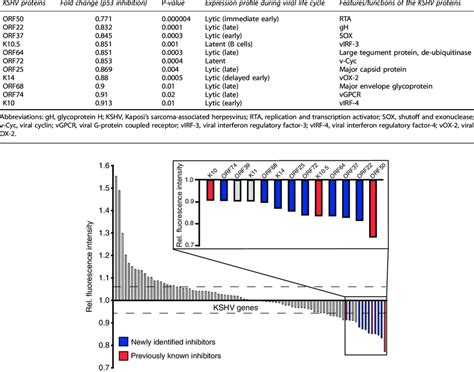 P53 Inhibition By Kshv Genes Download Table