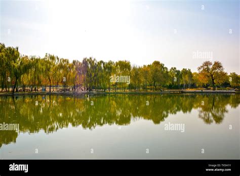 Autumn Color Of Ai Haidian Park Wisdom Park Haidian District Beijing