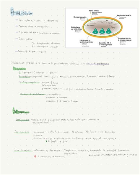 SOLUTION ANTIBIÓTICOS Studypool