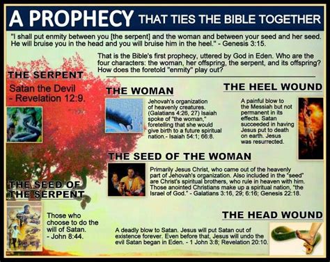 1000 Images About Bible Prophecy On Pinterest Israel Daniel O