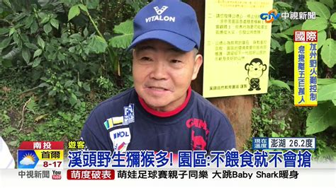 囂張 溪頭獼猴當眾搶食物 遊客受驚嚇│中視新聞 20191027 Youtube