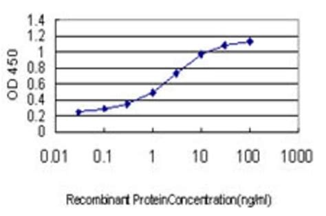 Nek10 Mouse Anti Human Clone 1c9 Abnova™ 100μg Unconjugated
