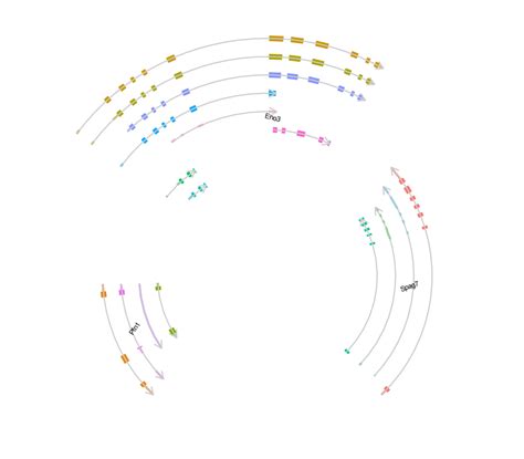 Transplotr 优雅的绘制基因转录本结构 Csdn博客