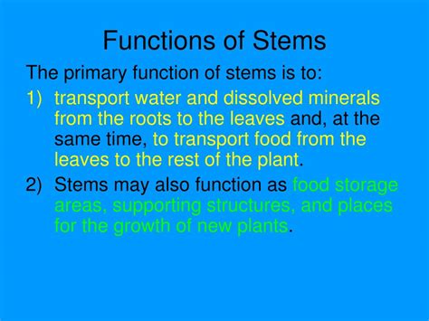 Ppt Roots And Stems Powerpoint Presentation Id373931