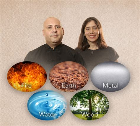 Shelton Qigong Holistic Modality For Body Mind And Spirit