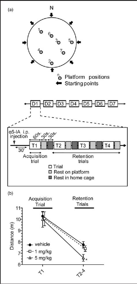 Figure 1 From Specific Targeting Of The Gaba A Receptor α5 Subtype By A
