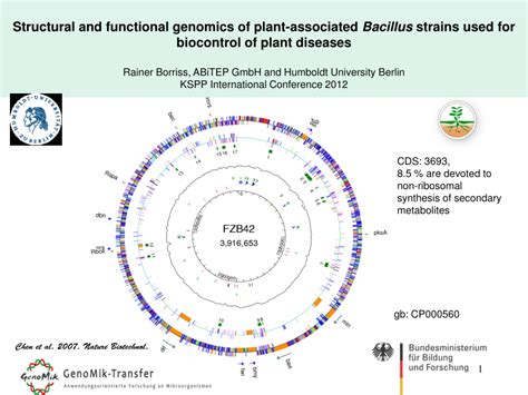 Pdf Structural And Functional Genomics Of Plant Associated Bacillus