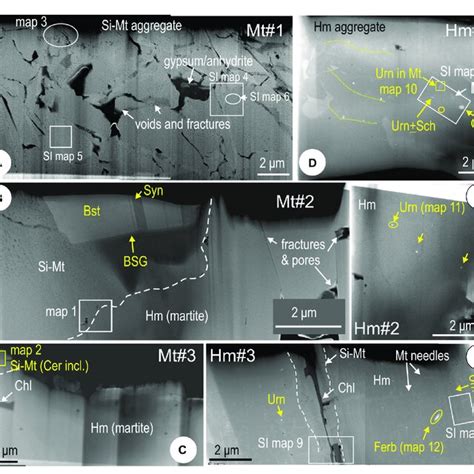 A Haadf Stem Image With Si Overlay Left And Stem Eds Element Maps Download Scientific