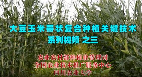 五大连池市农业社会化服务中心