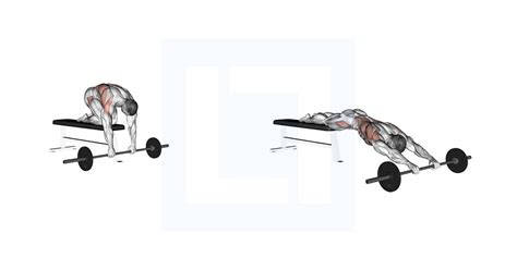 Curl Up Guide Benefits And Form