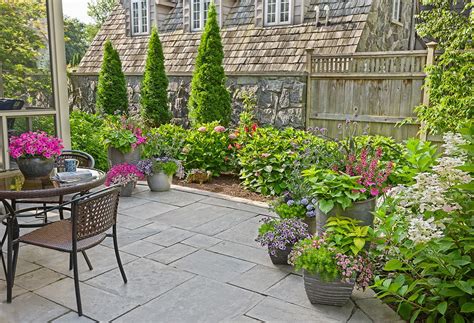 Best Plants For Pots All Year Round Standout Varieties Homes