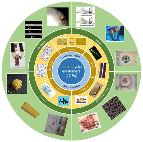 Of The Review On Liquid Crystal Elastomers Lces The Main Synthesis Download Scientific