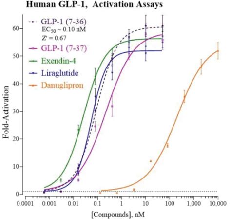 Human Glucagon Like Peptide 1 Receptor Reporter Assay System