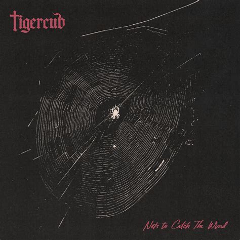 Tigercub Nets To Catch The Wind Rough Trade Lp Graphite Lp