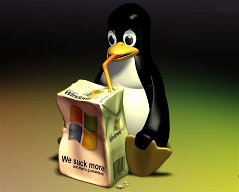 Technical Warrior Hack Windows Using LINUX