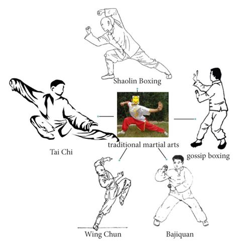 Chinese Martial Arts Techniques Debunking The Myths Of Kung Fu In