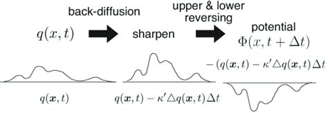Diffusion And Back Diffusion Download Scientific Diagram