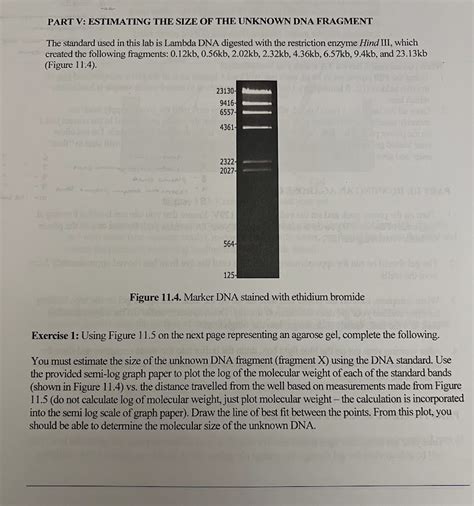 Solved PART V ESTIMATING THE SIZE OF THE UNKNOWN DNA Chegg