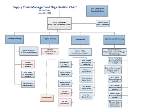 Organization Chart Supply Chain Management
