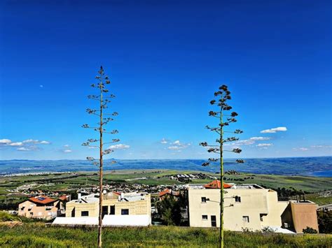 Premium Photo Galilee Israel