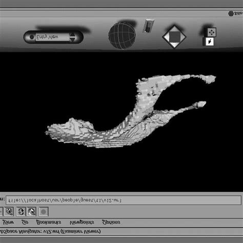 A Vrml Model Of The Brain Figure 7 Lateral Ventricles Of The Brain In Download Scientific