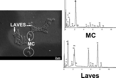 Sem Image And Eds Spectra Of The Secondary Phases After Etching With