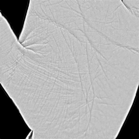 Python Use OpenCV To Extract Palm Prints From Palms Stack Overflow
