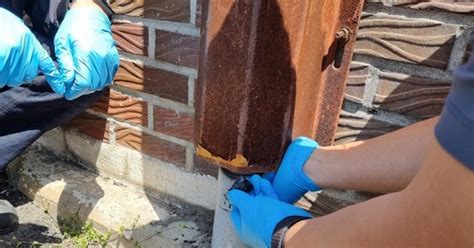 마약 운반책 하다 판매상 된 30대 중형“고수익 현혹 되지 말아야”