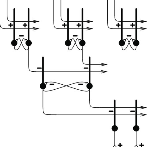 9 Schematic Hypothesis Of Basal Ganglia Network Architecture A Key