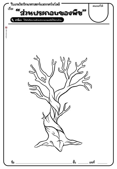 👩‍🏫 แบ่งปันไฟล์ใบงานนักเรียน ️🏞💕 สื่อการสอนของครูแอน