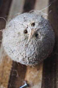 How To Open A Coconut In Easy Ways Simply Suwanee