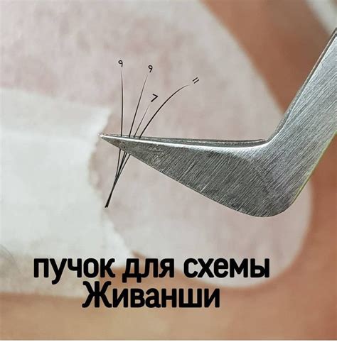 Пучок наращивание ресниц | Ресницы, Наращивание ресниц