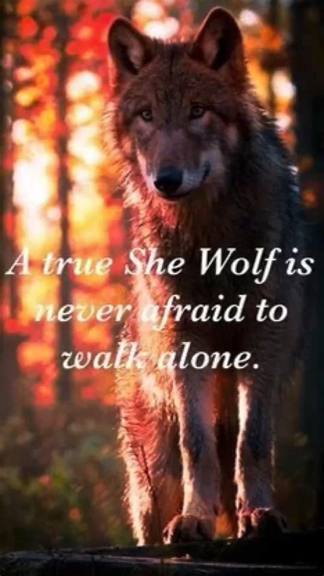 20 Strong Wolf Quotes To Pump You Up Artofit