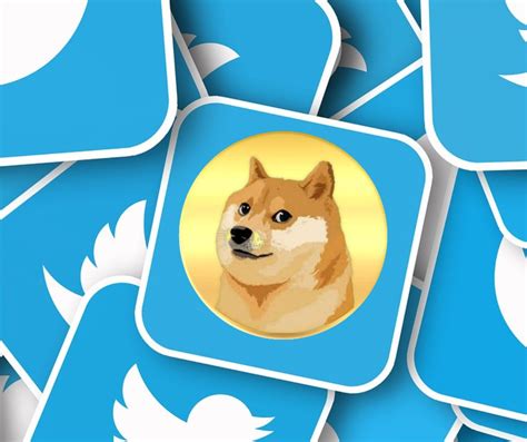 Ikut Terkenal Gara Gara Elon Musk Kenali Anjing Lucu Shiba Inu