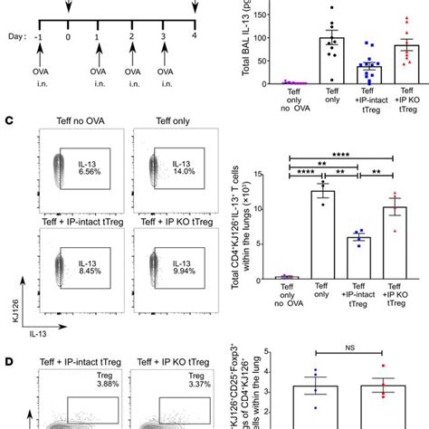 Pgi 2 Signaling Promotes Itreg Differentiation In Vitro A