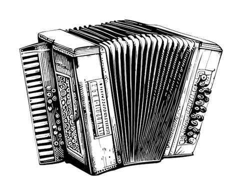 Premium Vector Accordion Musical Instrument Hand Drawn Sketch