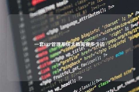 一套erp管理系统大概需要多少钱 鲸选erp