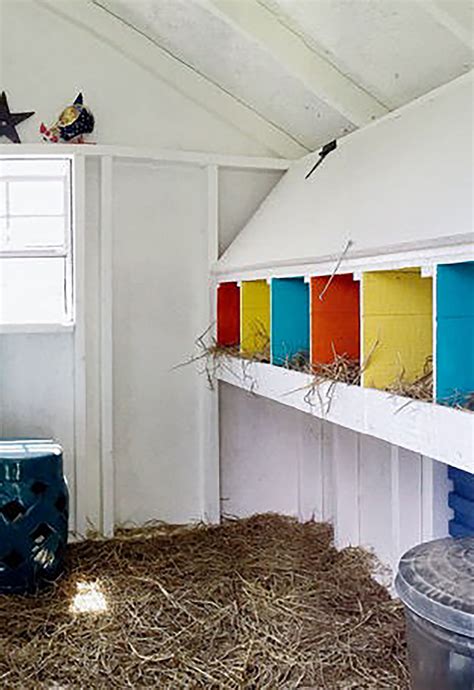 Inside Chicken Coop