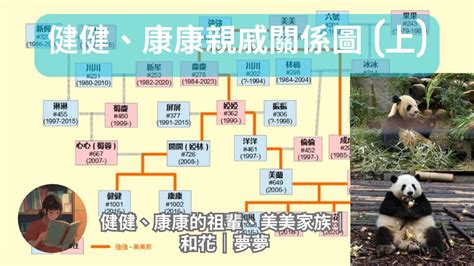 【澳門大熊貓】健健、康康親戚關係圖 上集｜健健、康康的祖輩、美美家族｜和花｜夢夢｜梅蘭｜奧利奧 Youtube