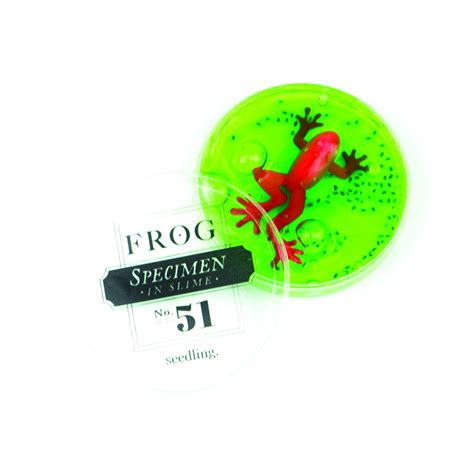 Frog Specimen Clafoutis