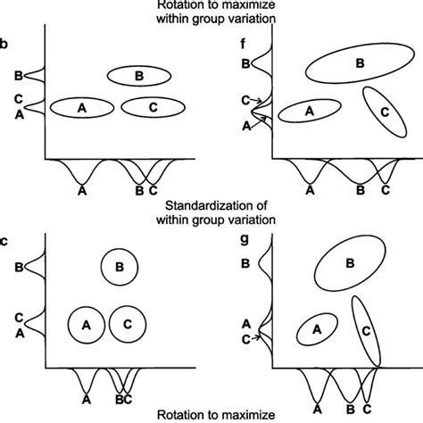 5 Schematic Representation Of The Stages Of Canonical Variate Analysis Download Scientific