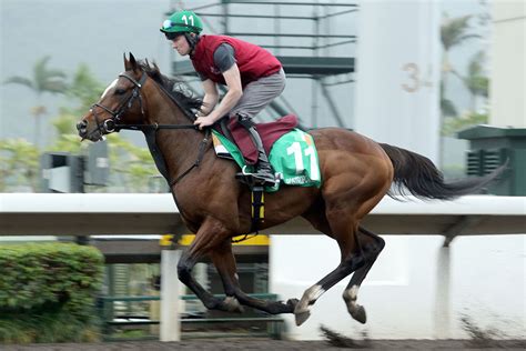 浪琴表香港國際賽事週五晨操圖輯 賽馬新聞 香港賽馬會