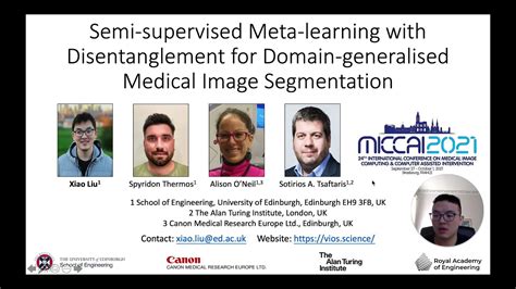 Semi Supervised Meta Learning With Disentanglement For Domain Generalised Medical Image