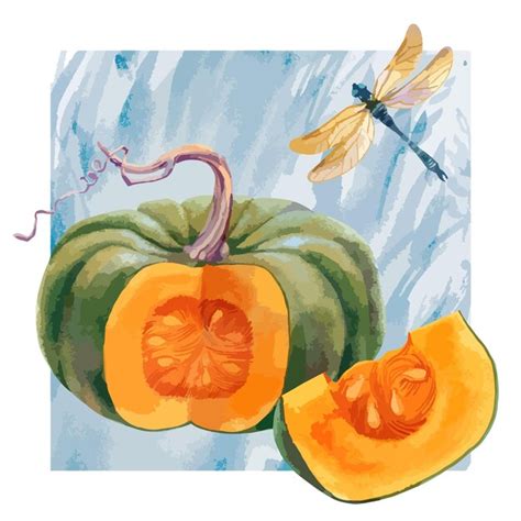 Ilustraci N Acuarela Vectorial De Calabaza Vector Premium